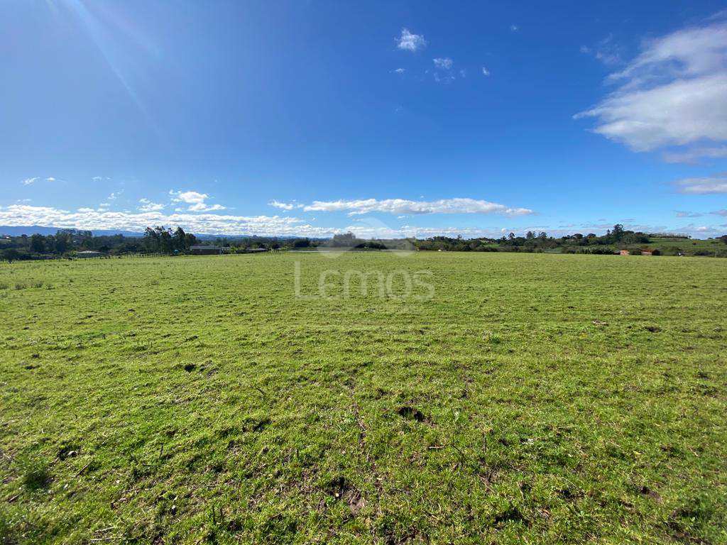 Área, Rural, Venâncio Aires, Cod: 598