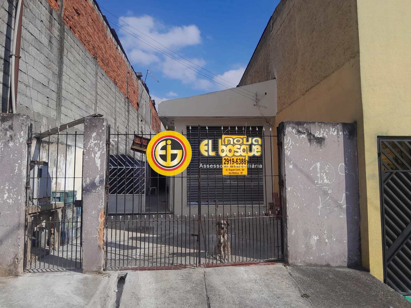 Salão, Parque Colonial, São Paulo, Cod: 71983700